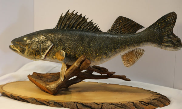 Giant Blue Walleye Wood Carving by Steve Needham | Langford Gallery